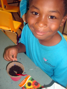 Year 1 Growing Investigations — Provo Primary School