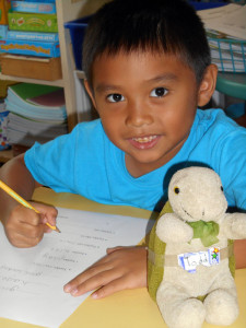 Turtles! Turtles! Year One Loves Turtles! — Provo Primary School