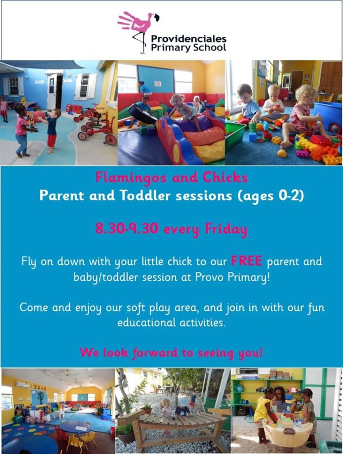 Is your little chick ready to spread their wings? — Provo Primary School