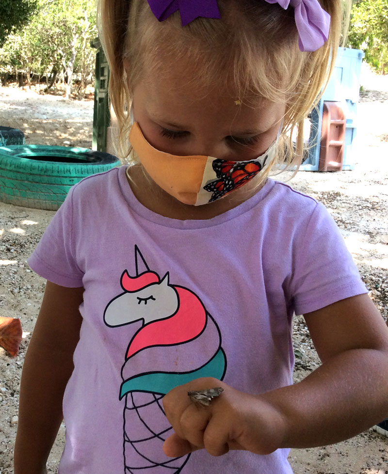 Daycare Provision at Provo Primary — Provo Primary School