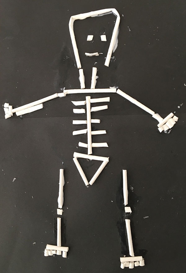 Year 2 take look inside the body… — Provo Primary School