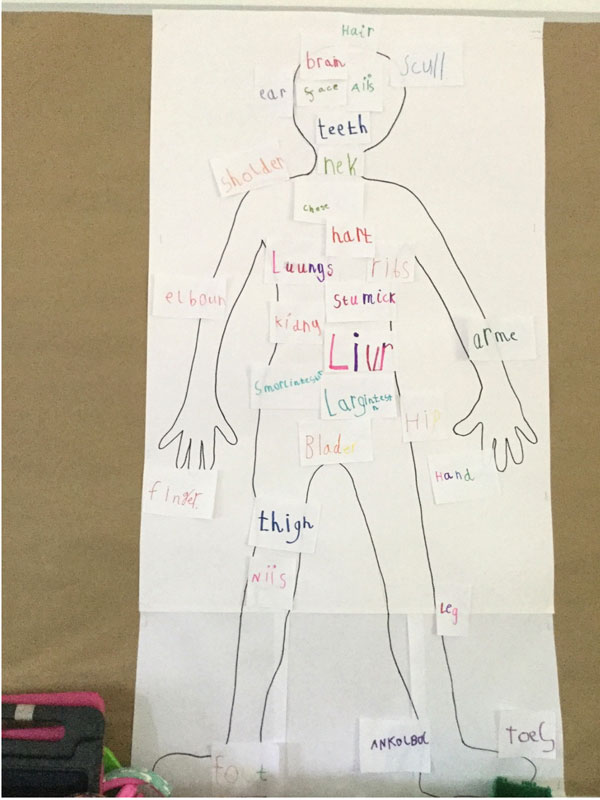 Year 2 take look inside the body… — Provo Primary School