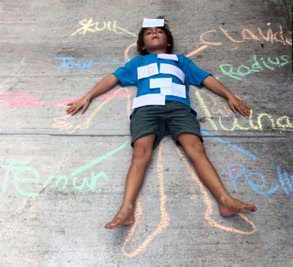 Year 2 take look inside the body… — Provo Primary School