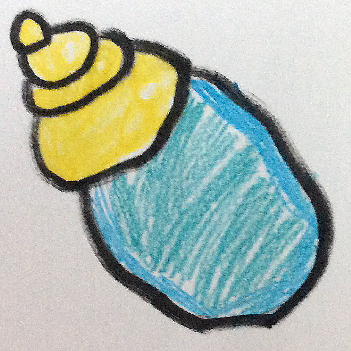 Learn how to draw a conch shell with Year 3 — Provo Primary School