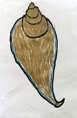 Learn how to draw a conch shell with Year 3 — Provo Primary School