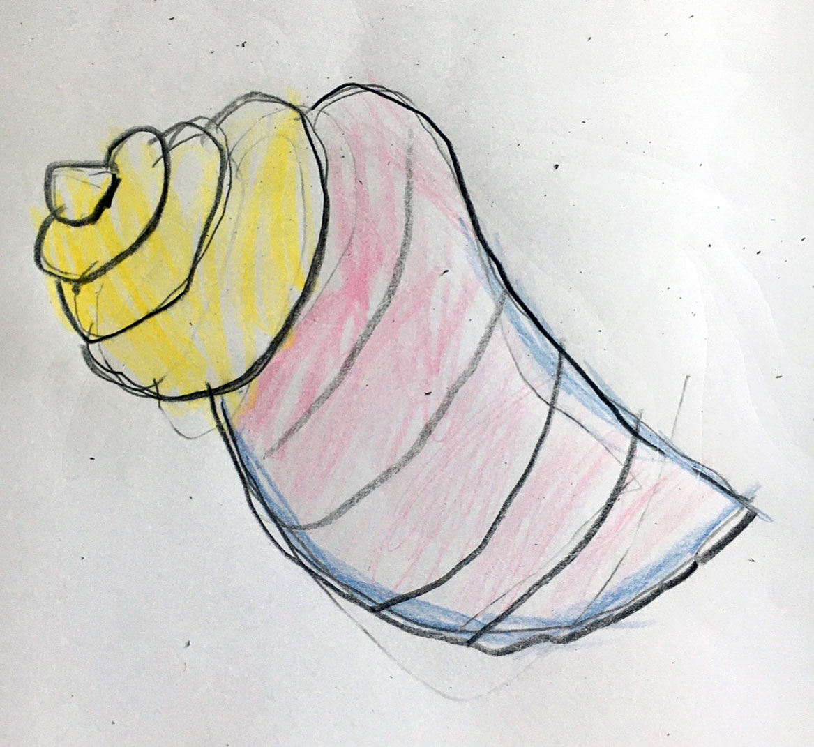 Learn how to draw a conch shell with Year 3 — Provo Primary School