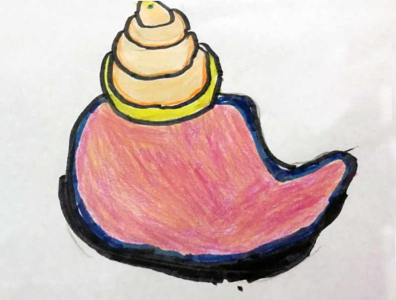 Learn how to draw a conch shell with Year 3 — Provo Primary School