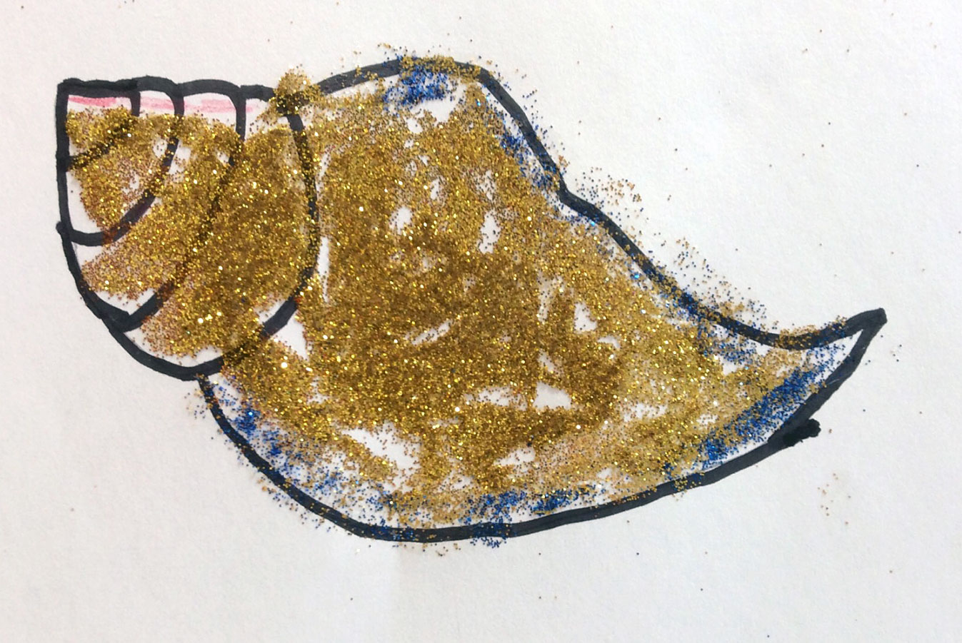 Learn how to draw a conch shell with Year 3 — Provo Primary School