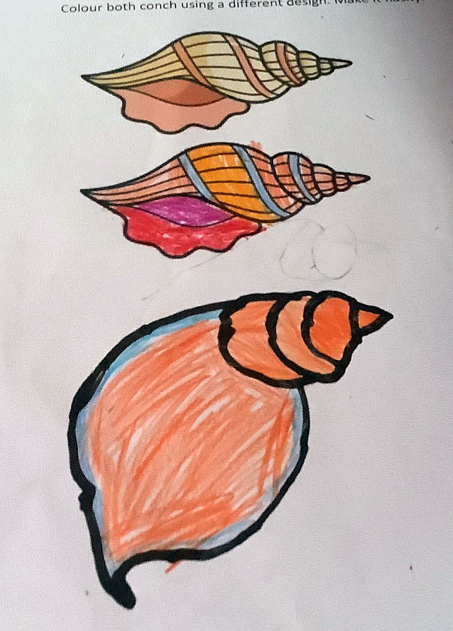 Learn how to draw a conch shell with Year 3 — Provo Primary School