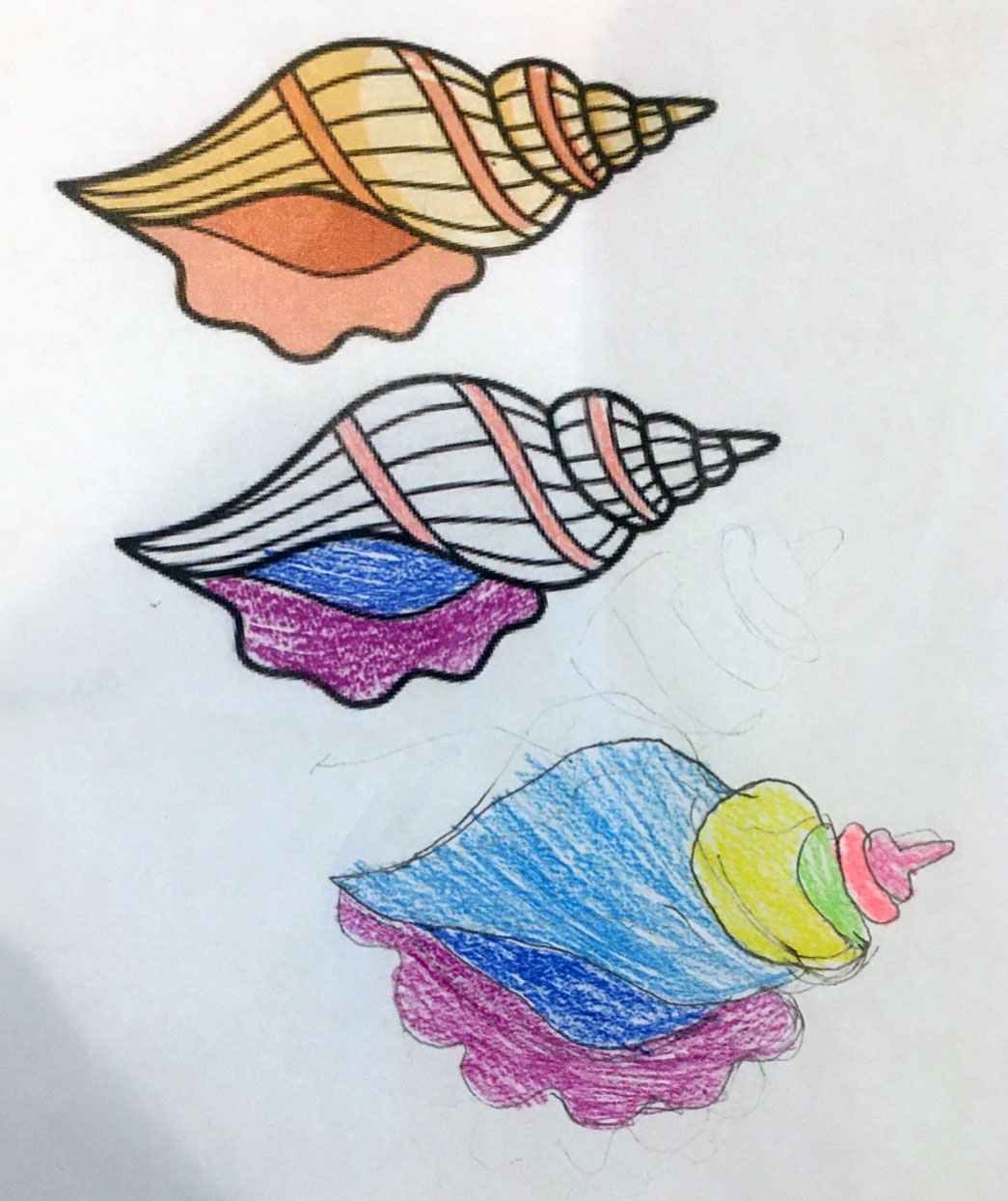 Learn how to draw a conch shell with Year 3 — Provo Primary School