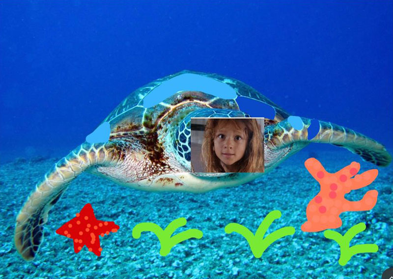 Year 5 Turtle Class — Provo Primary School