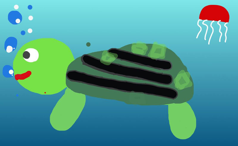 Year 5 Turtle Class — Provo Primary School