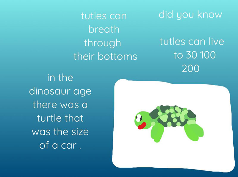 Year 5 Turtle Class — Provo Primary School