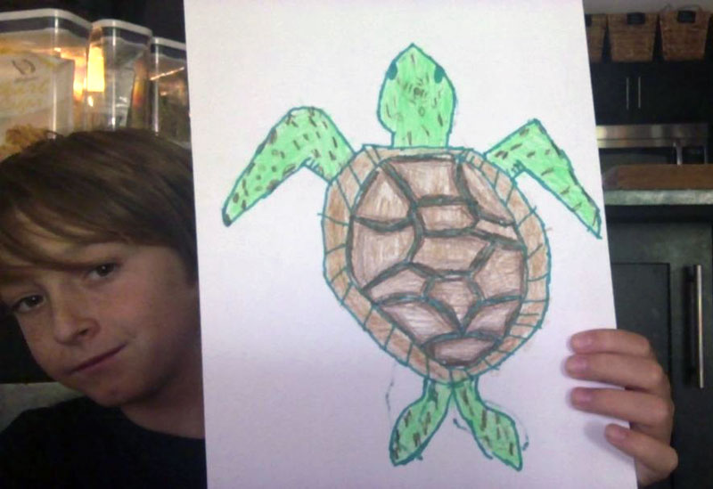 Year 5 Turtle Class — Provo Primary School