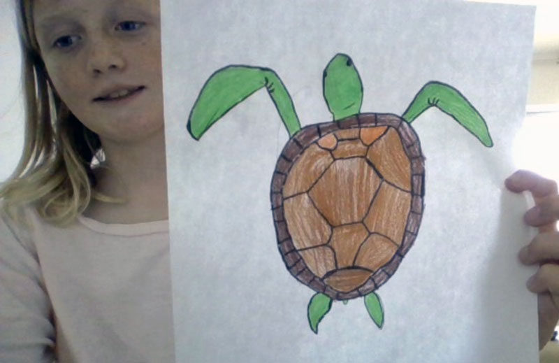 Year 5 Turtle Class — Provo Primary School