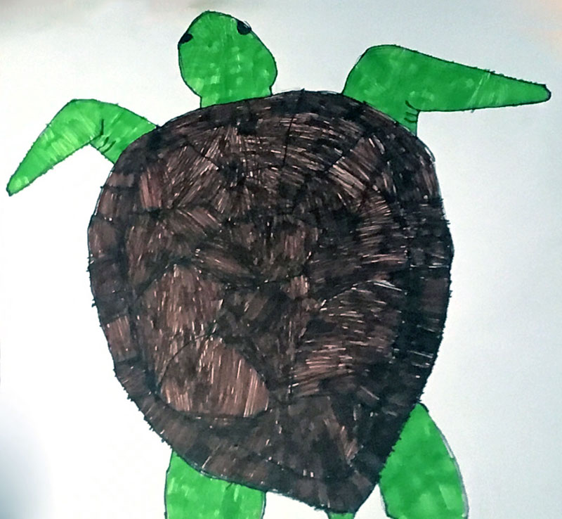 Year 5 Turtle Class — Provo Primary School