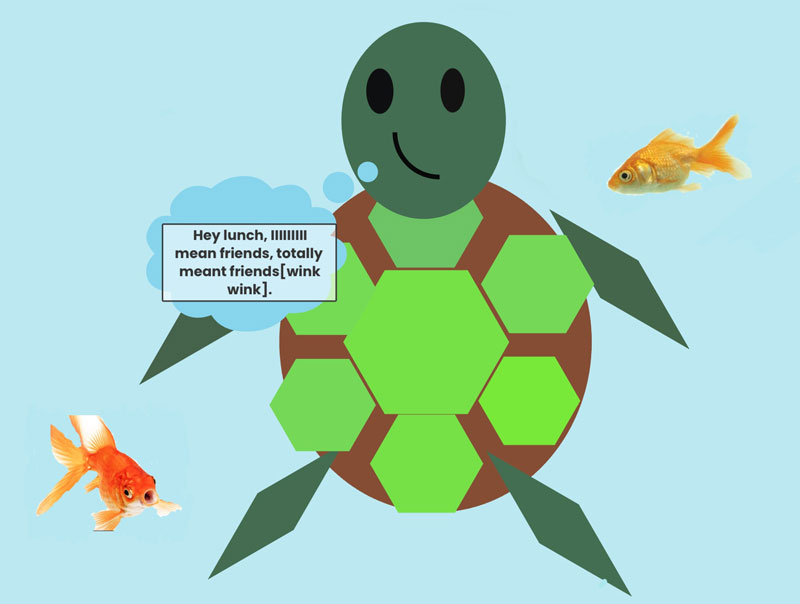 Year 5 Turtle Class — Provo Primary School
