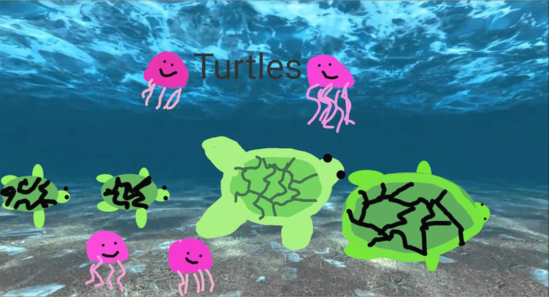 Year 5 Turtle Class — Provo Primary School