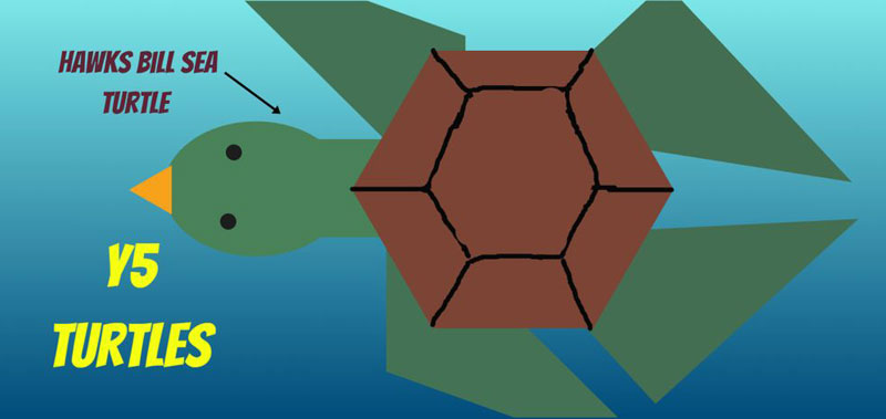 Year 5 Turtle Class — Provo Primary School