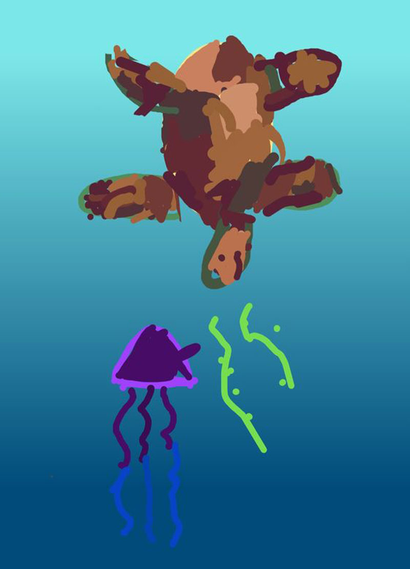 Year 5 Turtle Class — Provo Primary School