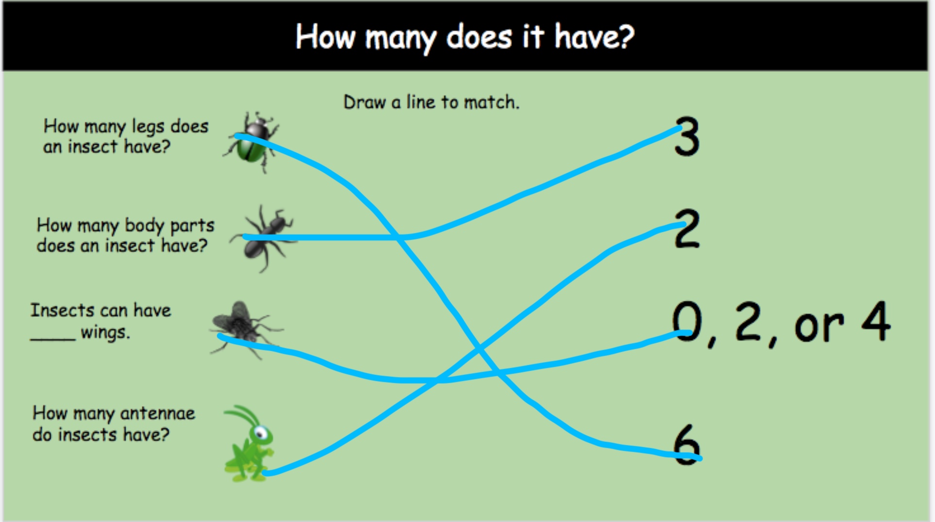 Minibeasts…Measuring and More… — Provo Primary School
