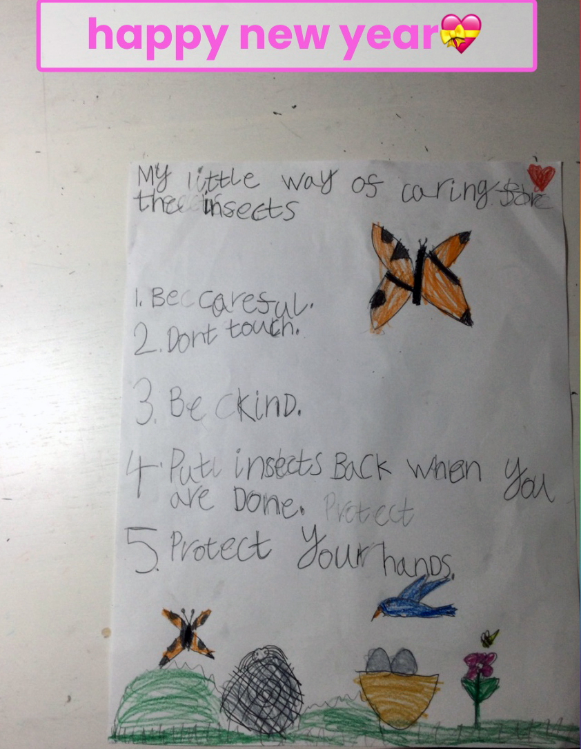 Minibeasts…Measuring and More… — Provo Primary School