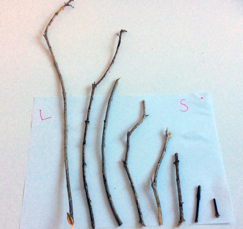 Minibeasts…Measuring and More… — Provo Primary School