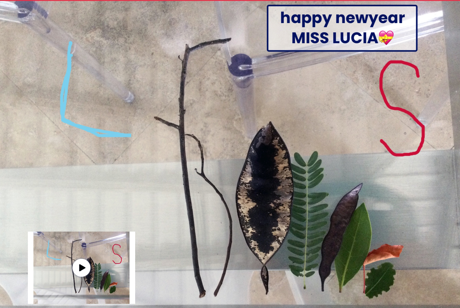 Minibeasts…Measuring and More… — Provo Primary School